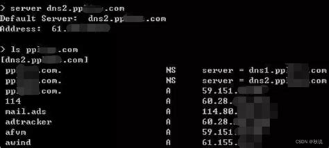 网络安全 子域名 信息收集子域名挖掘方式总结全网最详细 阿里云开发者社区