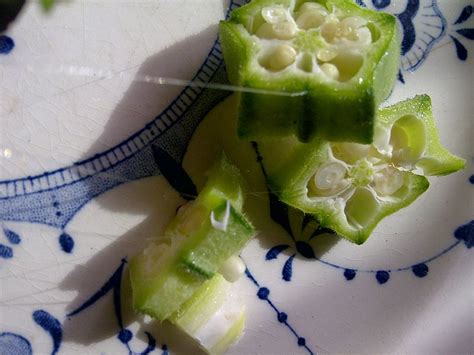 What Is The Difference Between Gum And Mucilage Compare The