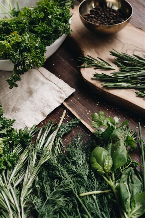 A Guide to Herbs – Lifestyle Magazine