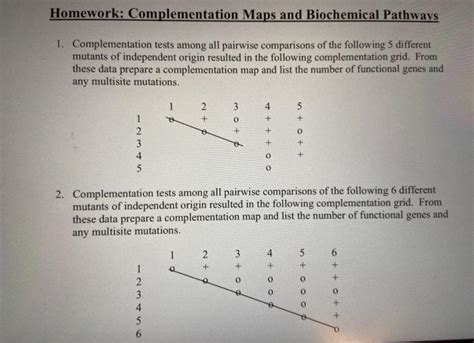 Solved Homework Complementation Maps And Biochemical