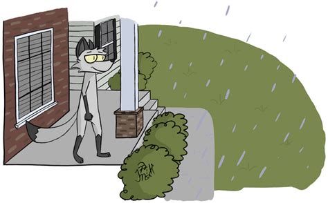 Rainy Day Fox R Furry