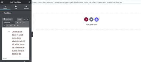 Bullet Points Do No Show In Elementor Editor Elementor