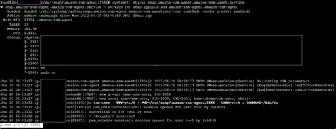 Cloudlink Disable Aws Console Access To Cloudlink Os Dell Belize