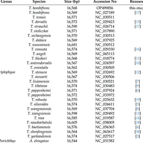 Codon Usage In The T Bombifrons Mitogenome Download Scientific Diagram