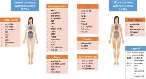 5 Disease Severity Biomarkers In Systemic Sclerosis By End Organ