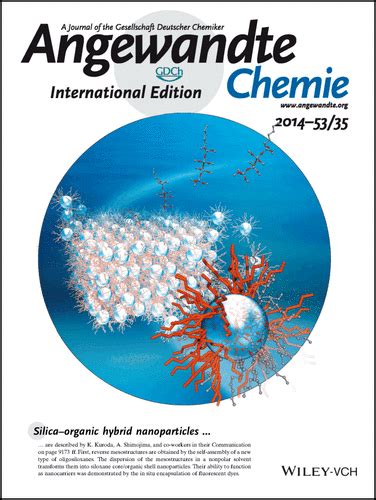 Inside Cover Molecularly Designed Nanoparticles By Dispersion Of SelfAssembled Organosiloxane