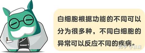 血常规——读懂白细胞分类计数！ 知乎