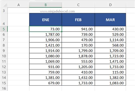 Cambiar Separador Decimal En Excel Ninja Del Excel