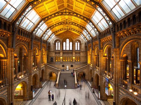Natural History Museum London Interior