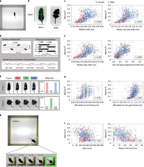 A Machine Vision Based Frailty Index For Mice Pmc