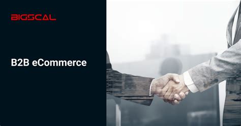 b2b ecommerce solutions b2b ecommerce company