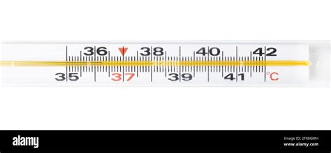 Traditional Classic Old Fashioned Mercury Thermometer Tool Celsius Scale Macro Extreme Closeup