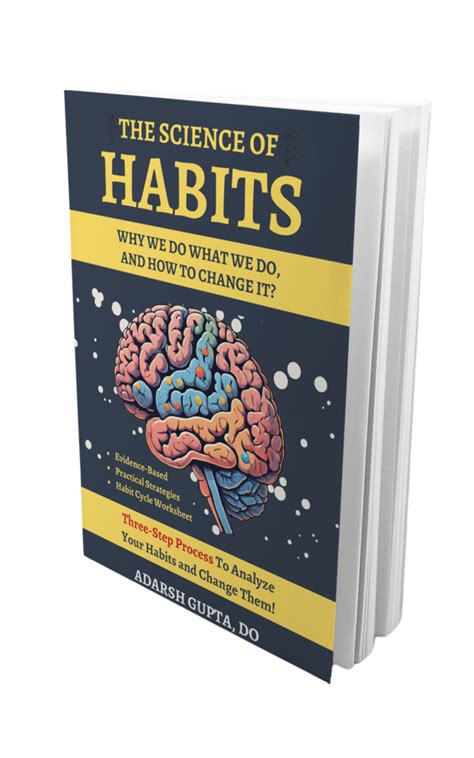 The Science Of Habit Formation How To Stick To Healthy Routines