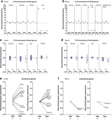 Tamoxifen Induction Of Cre Recombinase Does Not Cause Long Lasting Or Sexually Divergent