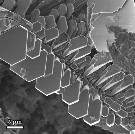 SEM FIB הפקולטה למדע והנדסה של חומרים טכניון