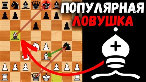 ПОПУЛЯРНАЯ ловушка для Новичков Шахматная ловушка Youtube