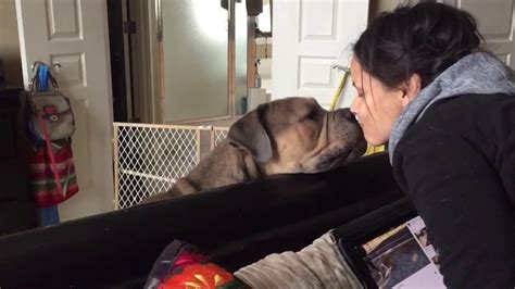 Crazy Lady Makes Out With Her Two Dogs Watch With Caution Youtube