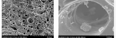 The Pore Structure Of Coal Based Activated Carbon Henan Shangchen New Material Technology Co Ltd