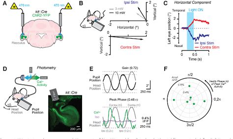 Figure 1 From Expression Of A Form Of Cerebellar Motor Memory Requires Learned Alterations To