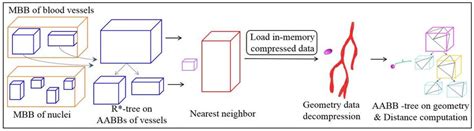 3d spatial proximity estimation workow download scientific diagram