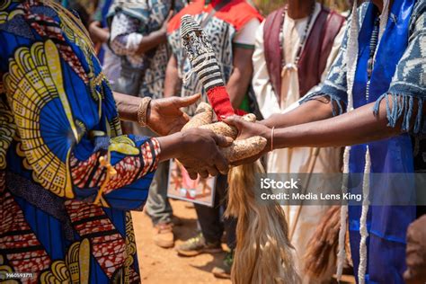 아프리카 축하 행사 장례식 중에 두 사람이 괴경과 포니 테일을 서로에게 전달합니다 아프리카에 대한 스톡 사진 및 기타 이미지 아프리카 아프리카 문화 아프리카 민족