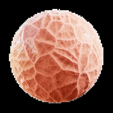 Membrane Skin Pbr Texture