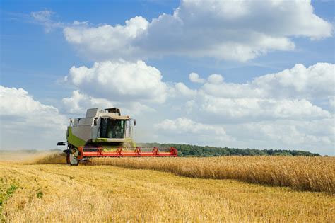 수확기 수확 잘 익은 밀을 결합합니다 일몰 흐린 오렌지 하늘 배경에 금 필드의 잘 익은 귀 풍부한 수확의 개념 0명에 대한 스톡 사진 및 기타 이미지 Istock