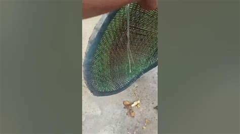 25 De Janeiro De 2025 Youtube