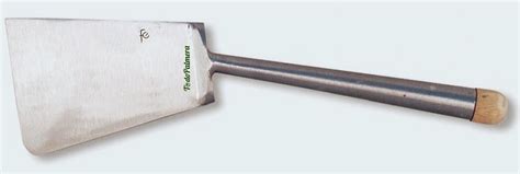 Palma Da Datteri Caratteristiche Coltivazione Usi E Altro