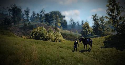 The Witcher 3 Roach Imgur