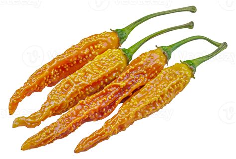 Four Orange Peppers Are Shown In A Row Stock 45909656 Png