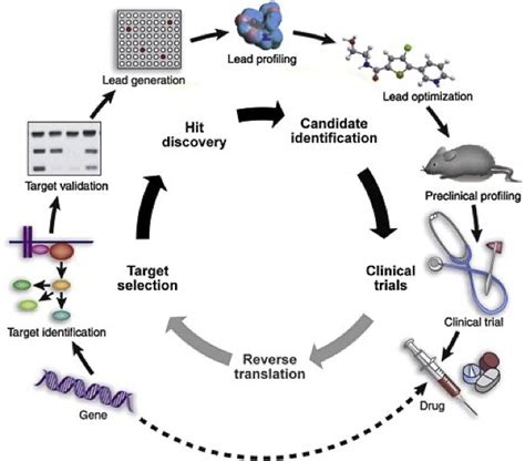 Biocytoceuticals Target Identification And Validation