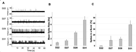 Electrophysiological Analysis Of Mns A Time Dependent Increase Of Download Scientific
