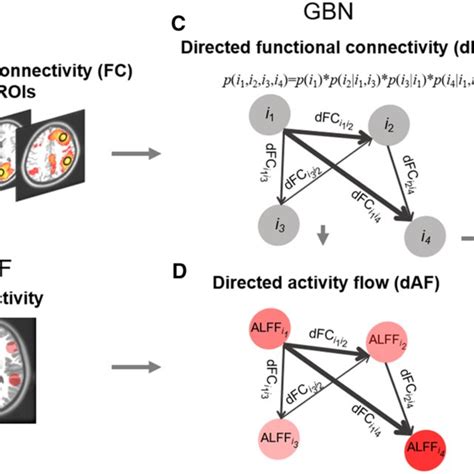 Design Schematic Diagram A The Preprocessed Resting State Bold Data