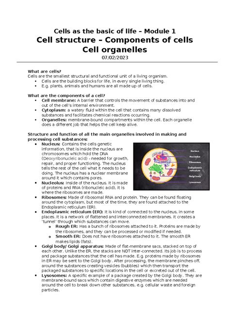 Cells As A Basic Of Life Module 1 Cells As The Basic Of Life