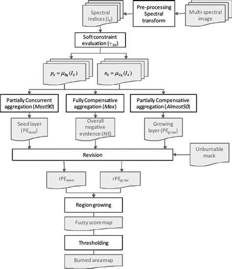 block diagram describes the fuzzy based processing scheme for burned