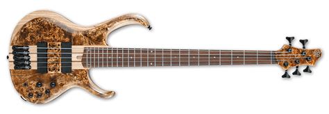 Affordable Medium Scale 5 String Basses