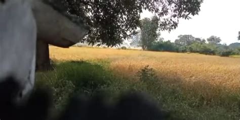 မတ္တရာမြို့နယ်တွင် ဓားစာခံဖမ်းဆီးခေါ်လာသည့် စစ်ကောင်စီယာဉ်တန်း မိုင်းဆွဲခံရ