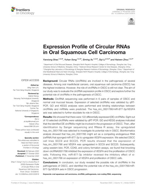 Pdf Expression Profile Of Circular Rnas In Oral Squamous Cell Carcinoma
