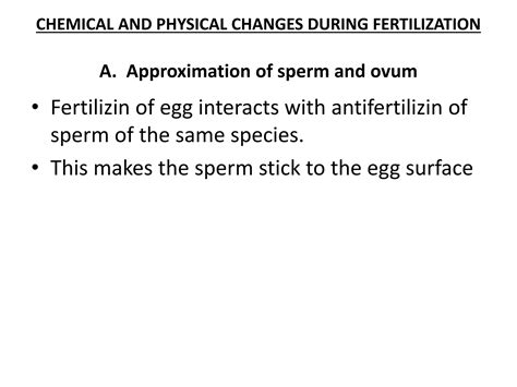 Fertilization Pptx