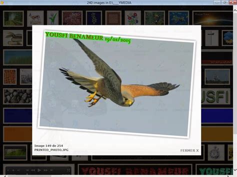 playing with photos in vfp and web lightboxes visual foxpro codes