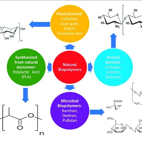 Classification Of Natural Biopolymers Based On Their Sources Download Scientific Diagram