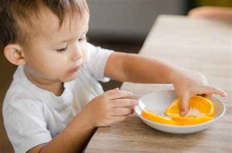 Tanya Bilder Durchsuchen 407 Archivfotos Vektorgrafiken Und Videos