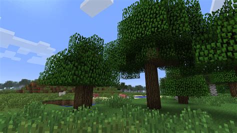 Minecraft Tree Texture
