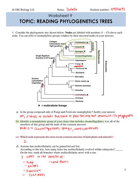 Worksheet 9 Phylogenetic Tree 240313 122033 © Ubc Biology 121 Name