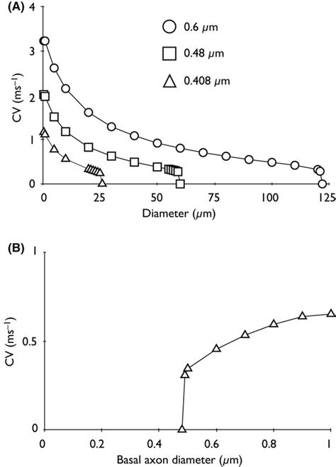 Effect Of Basal Axon Diameter On Swelling Induced Conduction Block A Download Scientific
