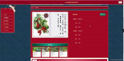 中医药膳信息管理系统 源码 开题报告 中医养生药膳管理系统 csdn博客