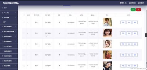 开题报告 Springboot哈尔滨文旅信息网站hg 计算机毕业设计 哈尔滨文旅毕业设计 CSDN博客