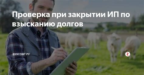 Проверка при закрытии ИП по взысканию долгов БУХСОФТ РУ Дзен