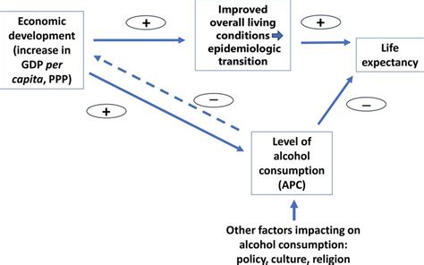 Conceptual Model Of Economic Development Alcohol Consumption And Life Download Scientific